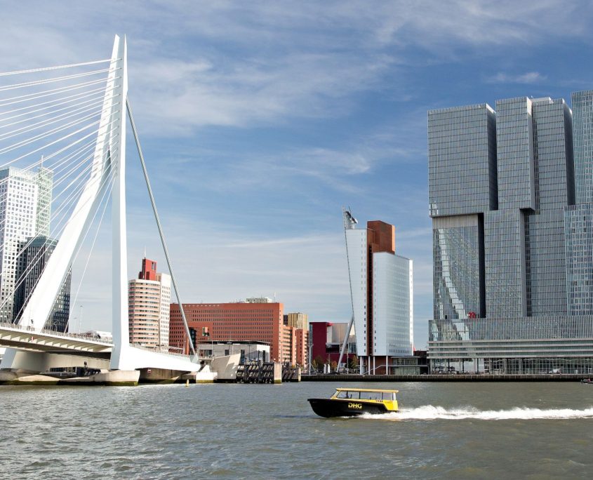 Work in The Hague - Work in The Hague