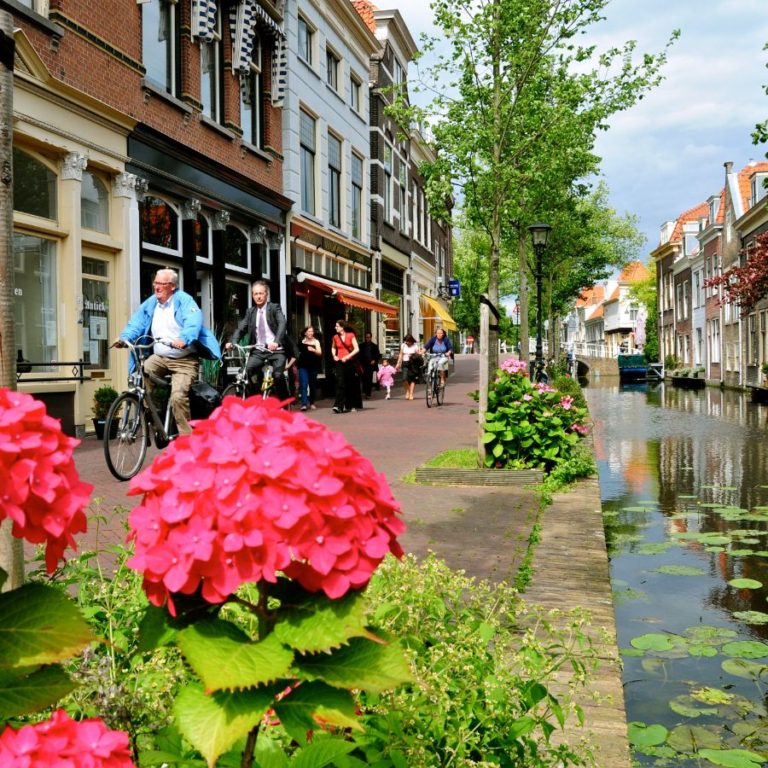 Work in The Hague - Work in The Hague